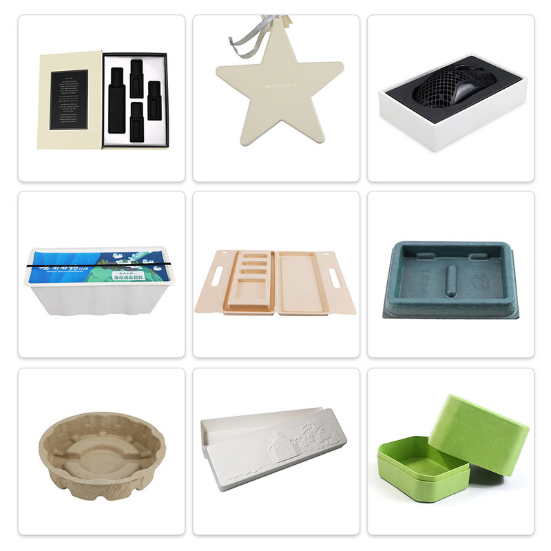 Sugarcane Bagasse / Paper Molded Pulp Tray Box Biodegradable Toothpaste ...